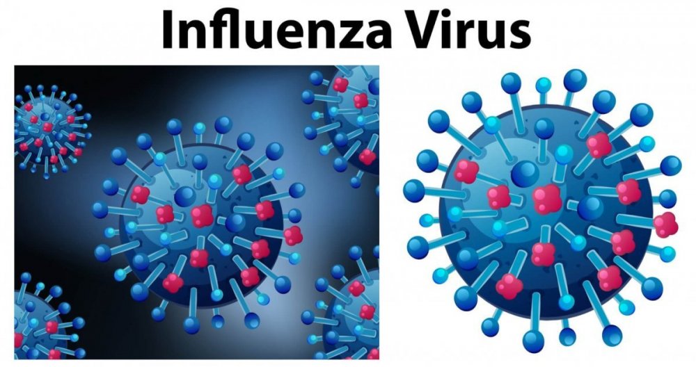 Influenza Has Virtually Vanished And We Know Why Dr Keith Scott Mumby Influenza Has Virtually Vanished And We Know Why Dr Keith Scott Mumby